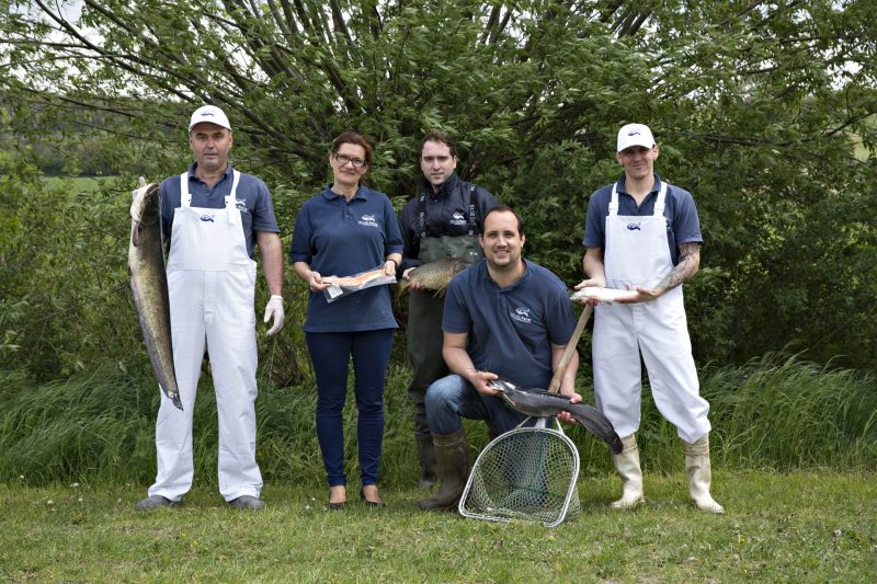 Fischfarm Sigless – Frischer Fisch aus der Region!